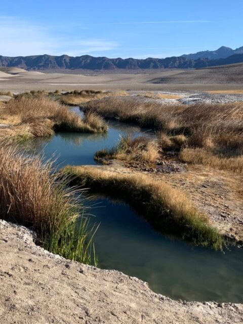 Home - discovertecopa.com